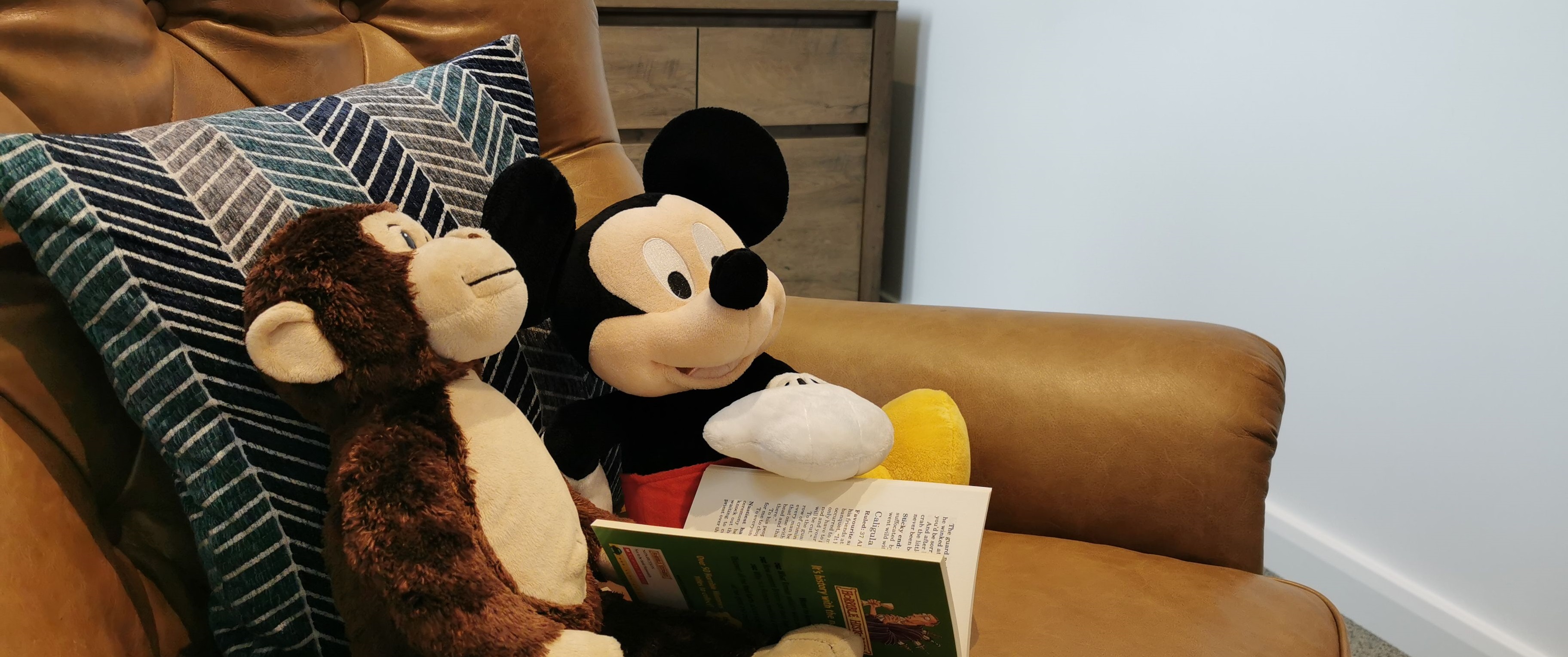 Referral – My House Calow